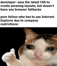 CSS for multiple browsers! Fallbacks tutorial - Dan D Kim Website